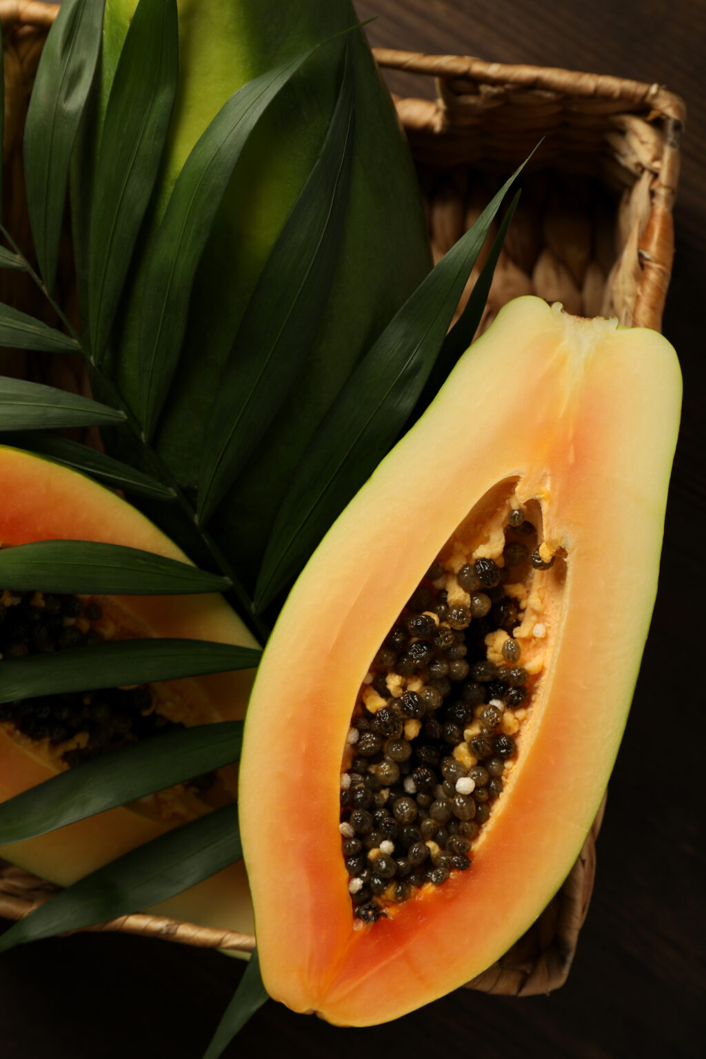 Growing a Papaya Tree from Seeds: A Step-by-Step Guide – Lovena Garden