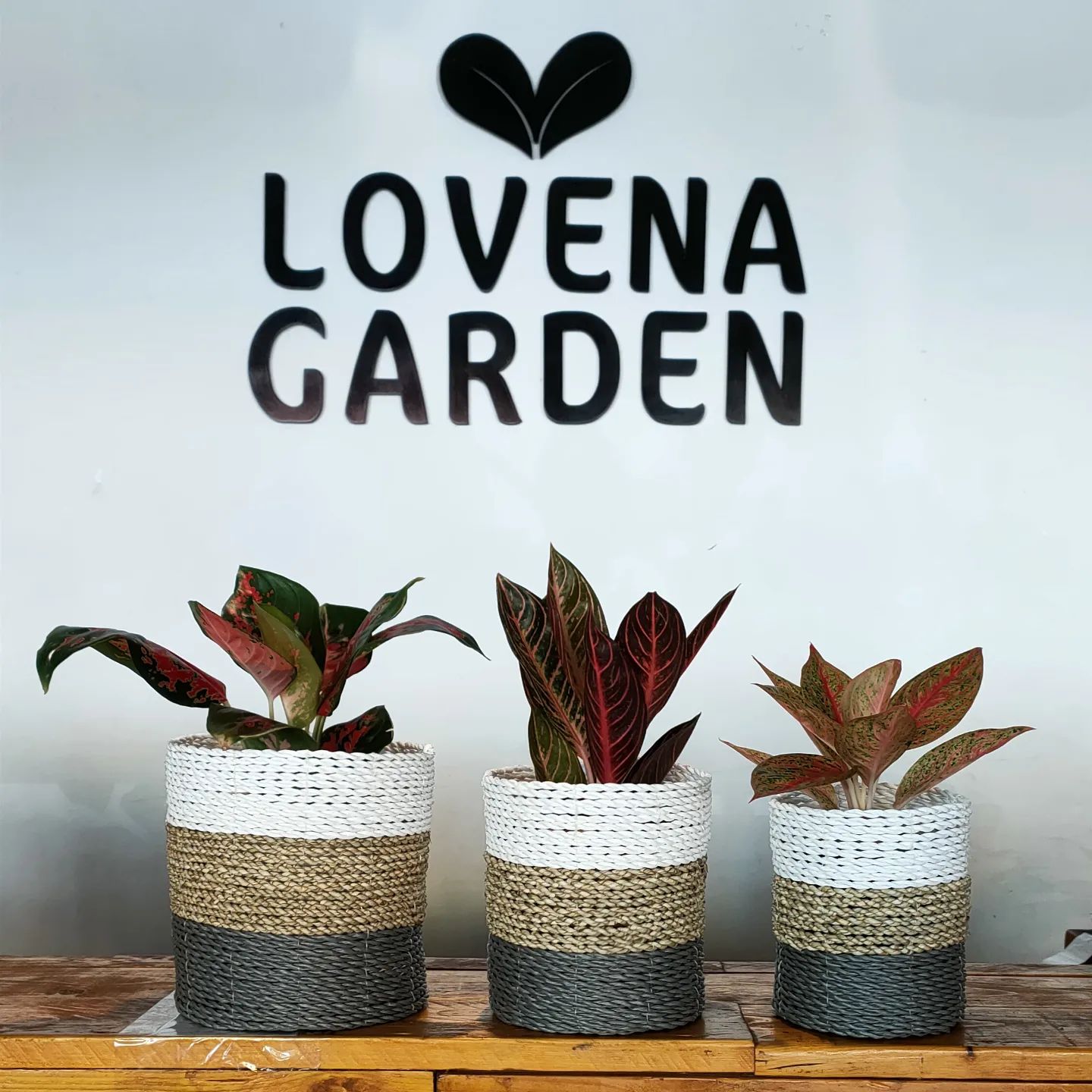 About Us – Lovena Garden